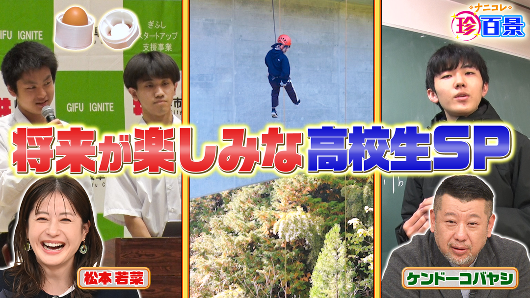 ナニコレ珍百景