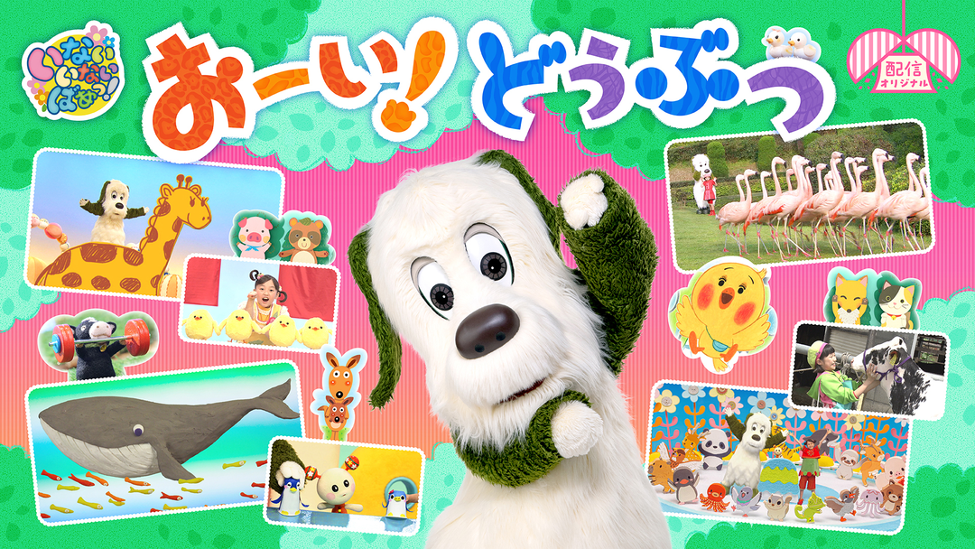 いないいないばあっ！ おーい！どうぶつ | キッズ・特撮の動画配信はTELASA(テラサ)-見逃し配信＆動画が見放題