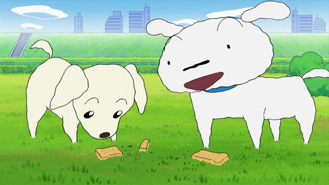 クレヨンしんちゃん シロの引越し物語だゾ | 映画・ドラマ・アニメの動画はTELASA(テラサ)