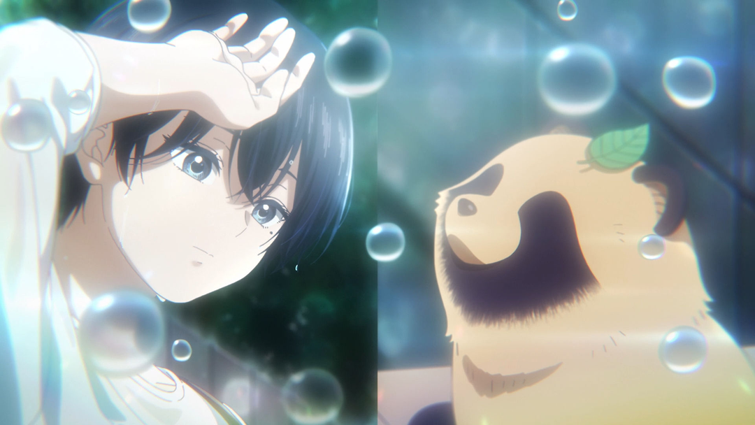 雨と君と 第12話（最終話） | アニメの動画配信はTELASA(テラサ)-見逃し配信＆動画が見放題