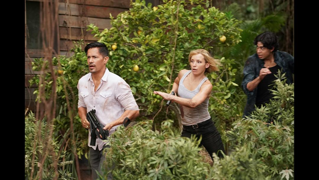 私立探偵マグナム シーズン3 第02話／吹替 | 海外・アジアドラマの動画配信はTELASA(テラサ)-見逃し配信＆動画が見放題