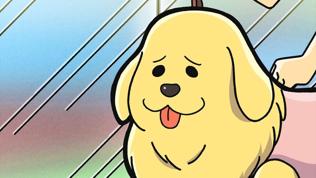 まめきちまめこニートの日常36（第71話・第72話） | アニメの動画配信はTELASA(テラサ)-見逃し配信＆動画が見放題