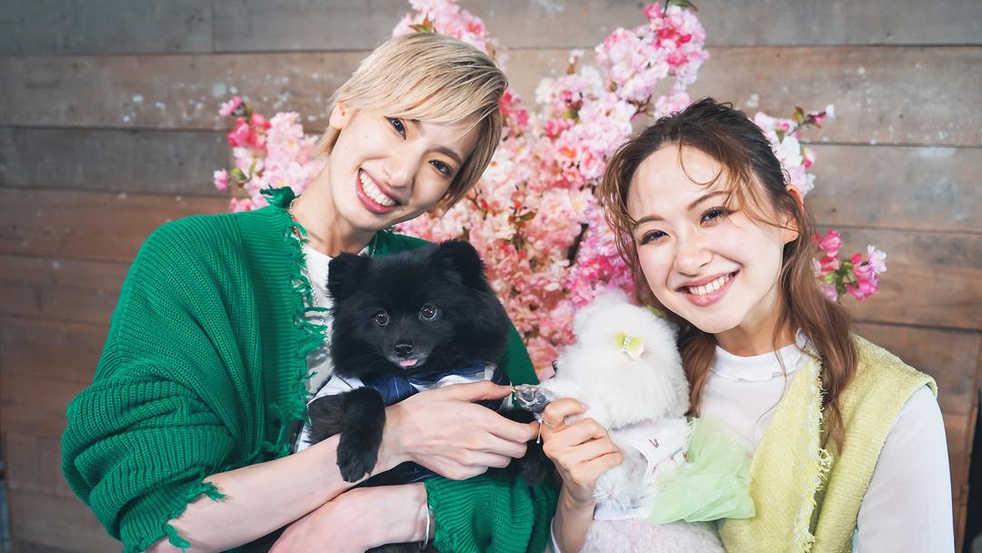 【宝塚歌劇】TAKARAZUKAあにまるハウス＃12「柚香光・星風まどか」 | バラエティ・音楽の動画配信はTELASA(テラサ)-見逃し配信＆動画が見放題