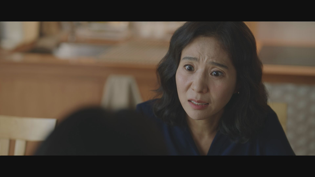 グッド・パートナー～離婚のお悩み解決します～ 第14話／字幕 | 映画・ドラマ・アニメの動画はTELASA(テラサ)