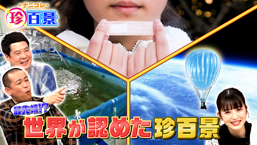 ナニコレ珍百景 2023年3月26日放送 映画・ドラマ・アニメの動画はtelasa テラサ