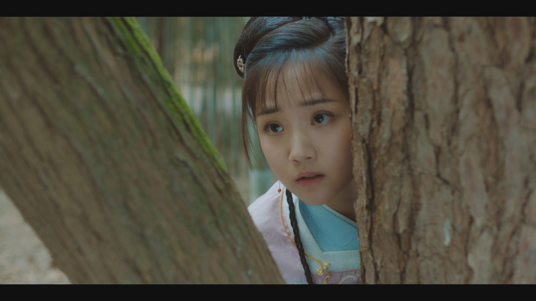 若様、それでも私をお気に召す 第09話／字幕 | 映画・ドラマ・アニメの動画はTELASA(テラサ)