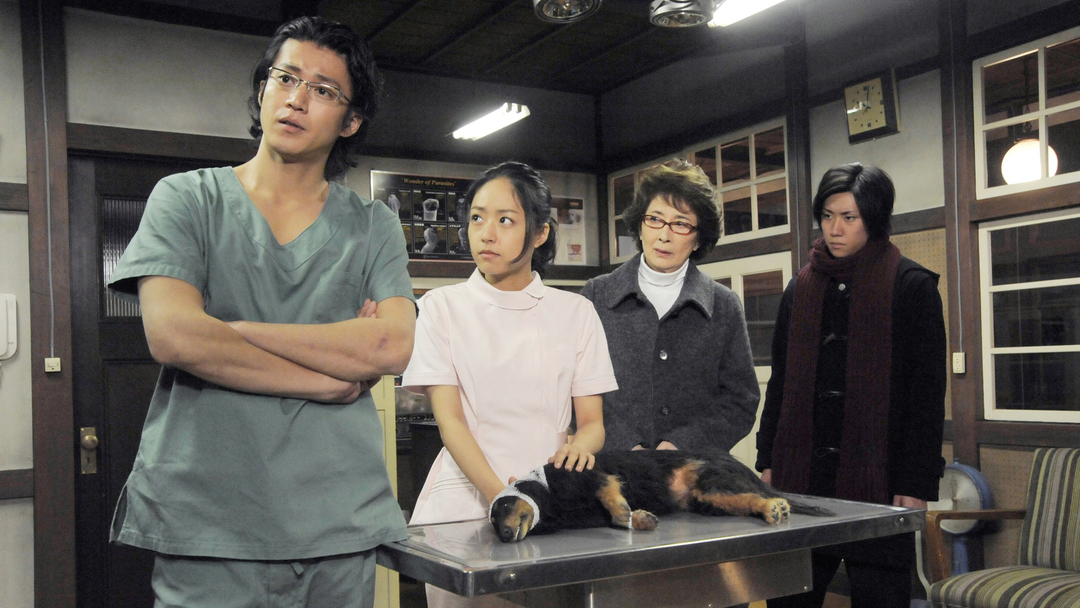 獣医ドリトル 第07話 | 国内ドラマの動画配信はTELASA(テラサ)-見逃し配信＆動画が見放題