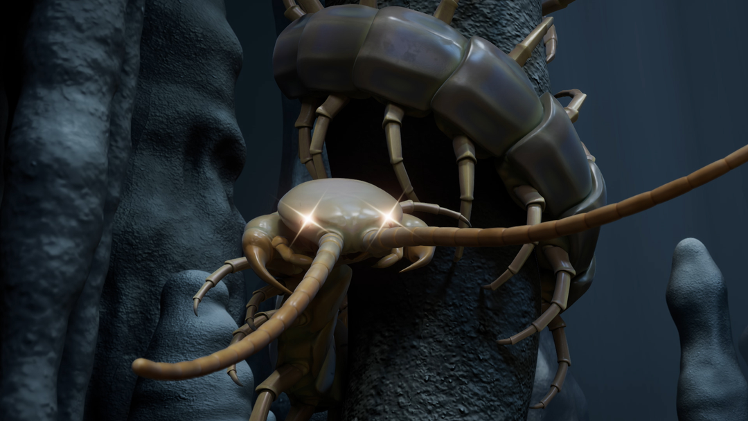 最強王図鑑 ～The Ultimate Battles～ 第33話 | アニメの動画配信はTELASA(テラサ)-見逃し配信＆動画が見放題