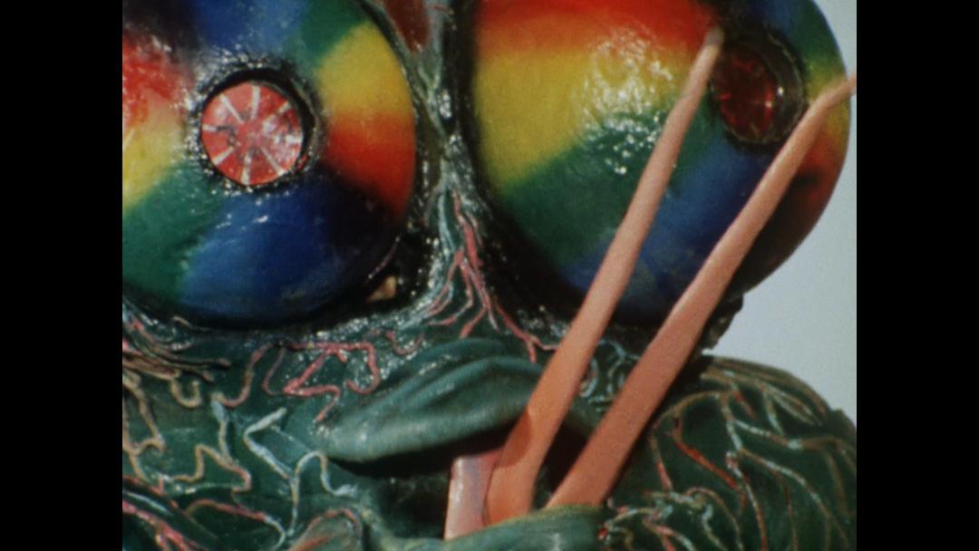 仮面ライダーV3 第50話 | キッズ・特撮の動画配信はTELASA(テラサ)-見逃し配信＆動画が見放題