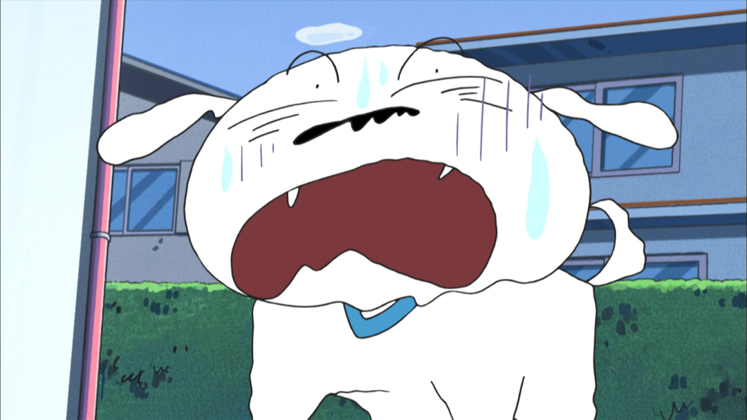 クレヨンしんちゃん シロの一日だゾ | 映画・ドラマ・アニメの動画はTELASA(テラサ)