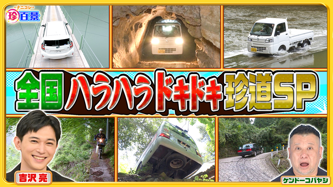 ナニコレ珍百景 吉沢亮もビックリ！全国ハラハラドキドキな珍道＆謎解き・推理SP！（2025/06/29放送分） | バラエティ・音楽の動画配信はTELASA(テラサ)-見逃し配信＆動画が見放題