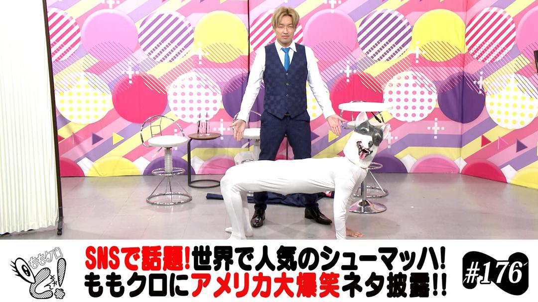 ももクロちゃんと！ ももクロちゃんとシューマッハ～あの番組の裏話！？～（2024/10/05放送分） | バラエティ・音楽の動画配信はTELASA(テラサ)-見逃し配信＆動画が見放題