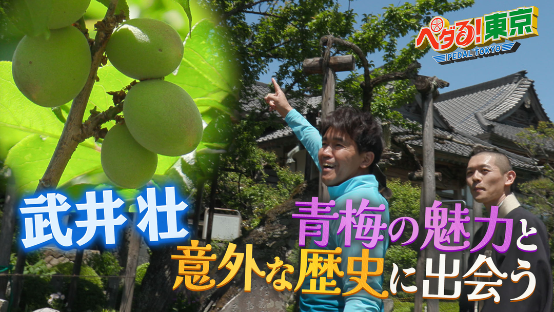 ペダる！東京 武井壮 青梅の魅力と意外な歴史と出合う | その他の動画配信はTELASA(テラサ)-見逃し配信＆動画が見放題