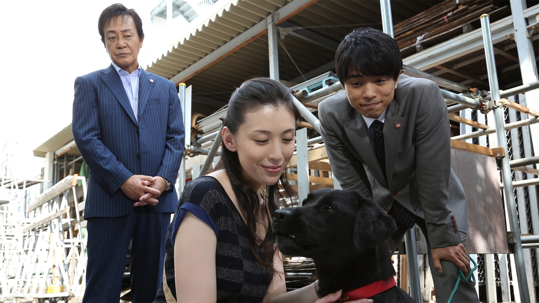 警視庁捜査一課9係 season7 第08話 | 映画・ドラマ・アニメの動画はTELASA(テラサ)